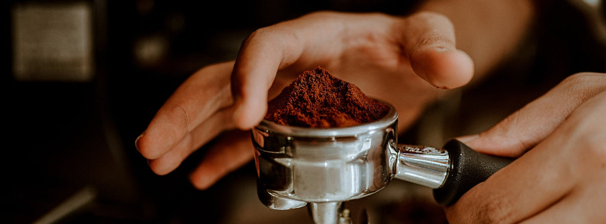 Profitec Grinders – Coffee Whouse Inc.